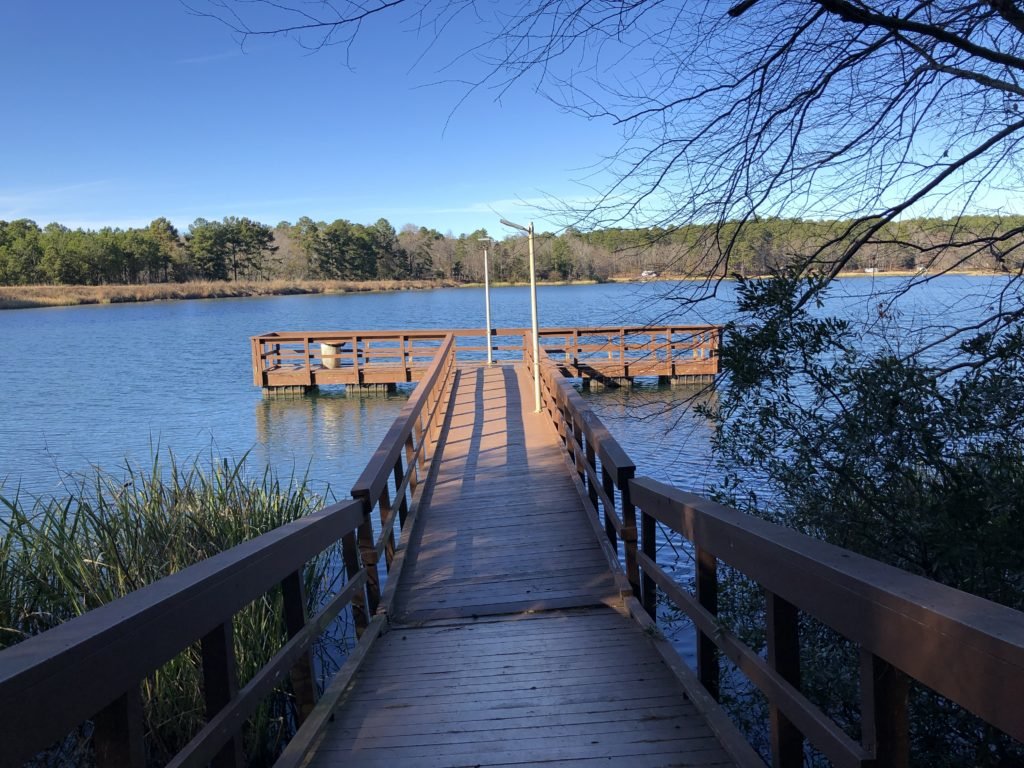 Tyler State Park - North Texas Trails