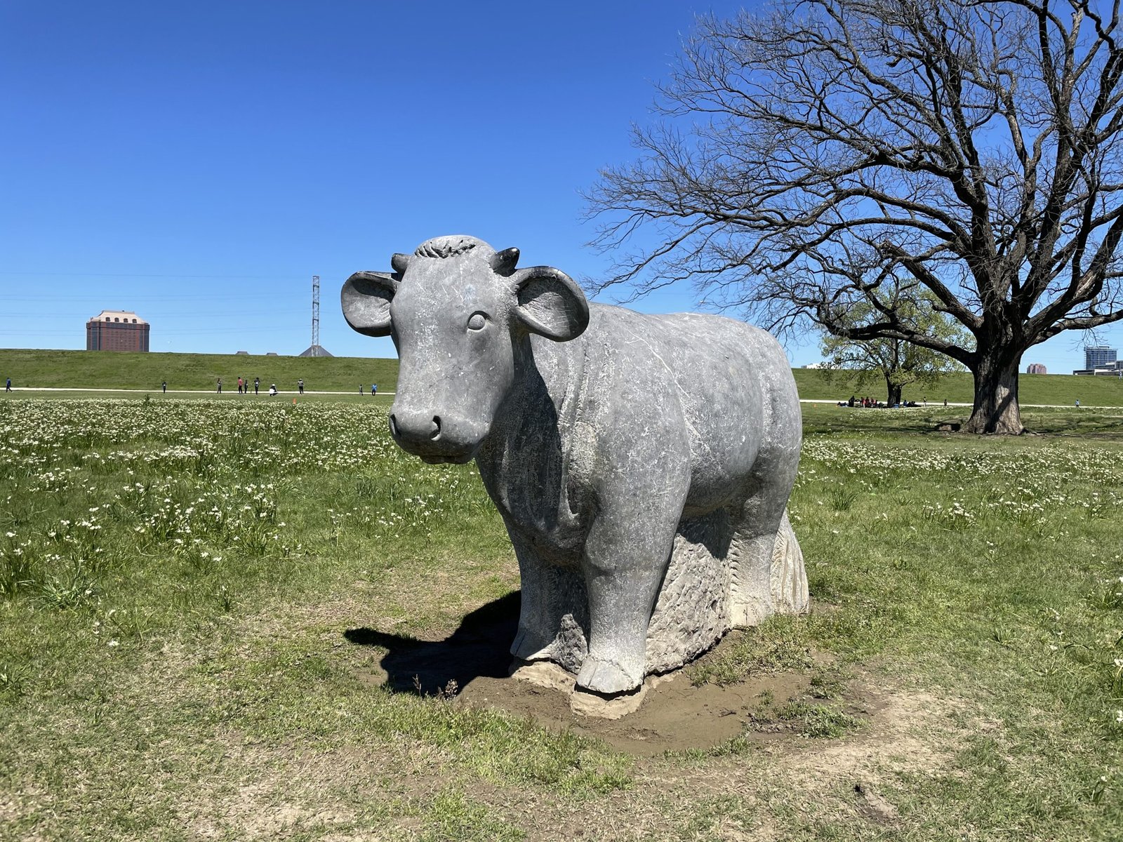 Trinity SkyLine Trail / Trinity Levee Trails - North Texas Trails