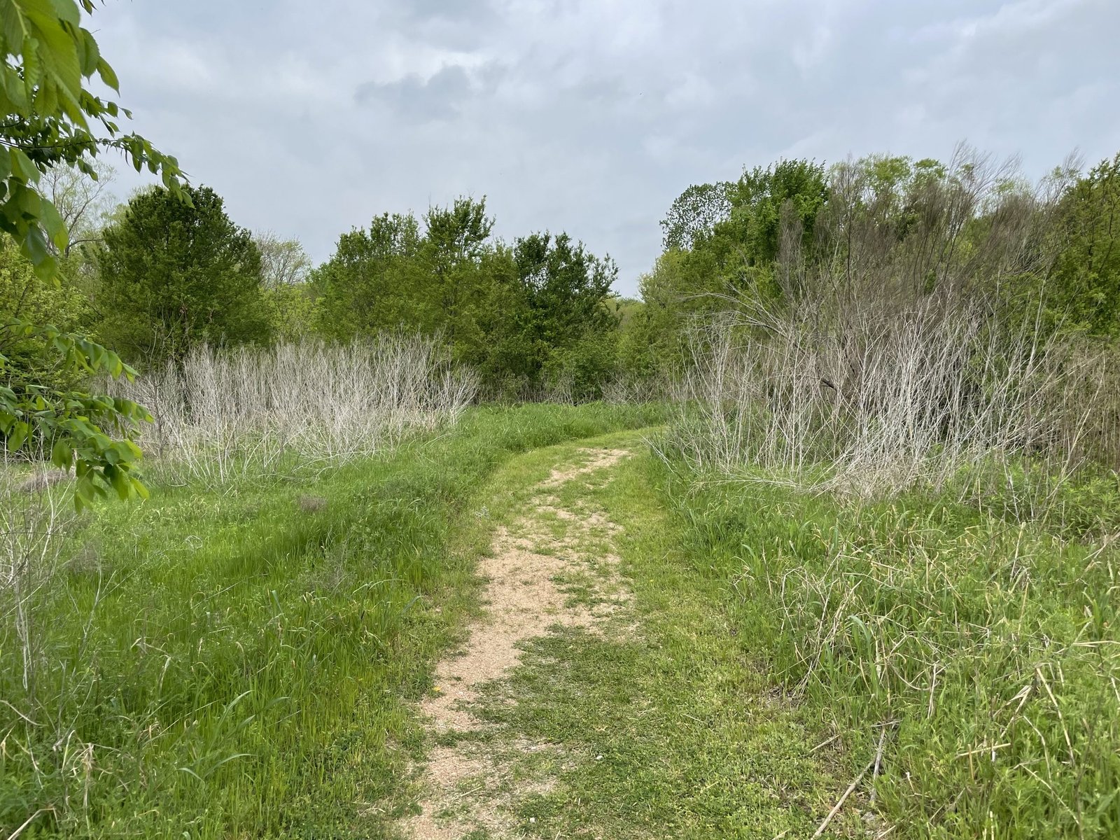 Trinity River Audubon Center - North Texas Trails