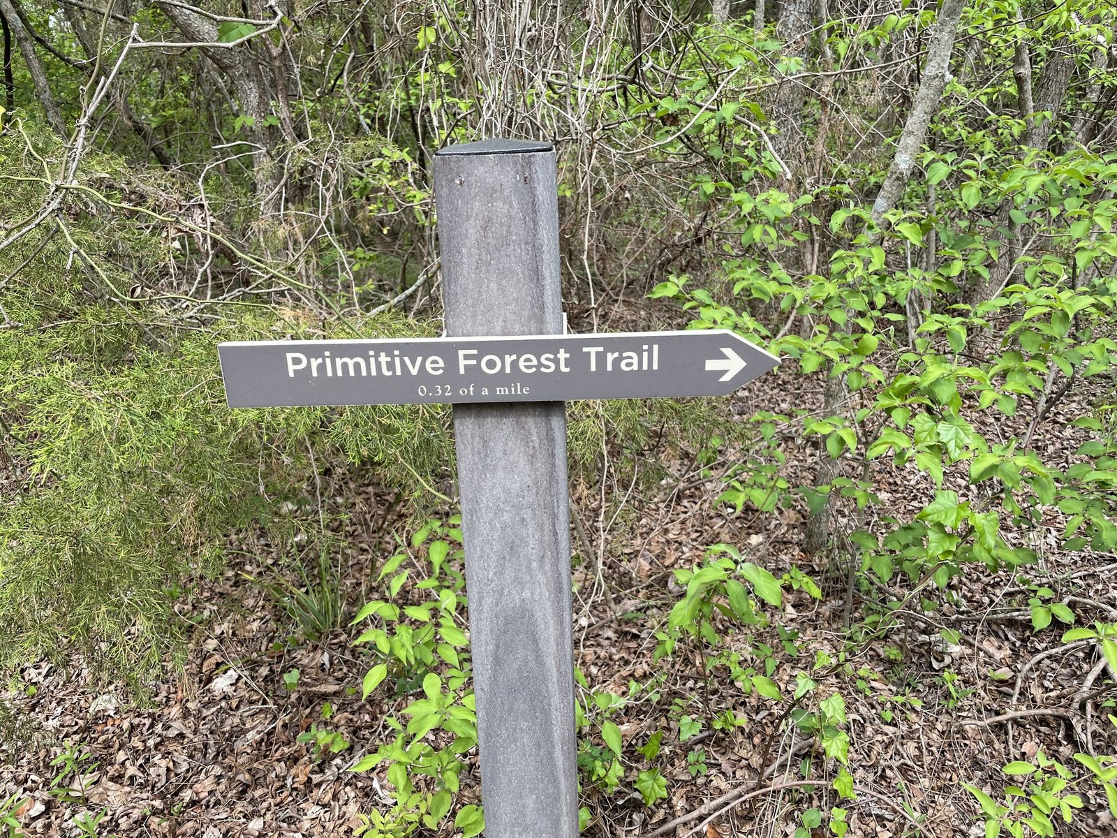 Trinity River Audubon Center - North Texas Trails