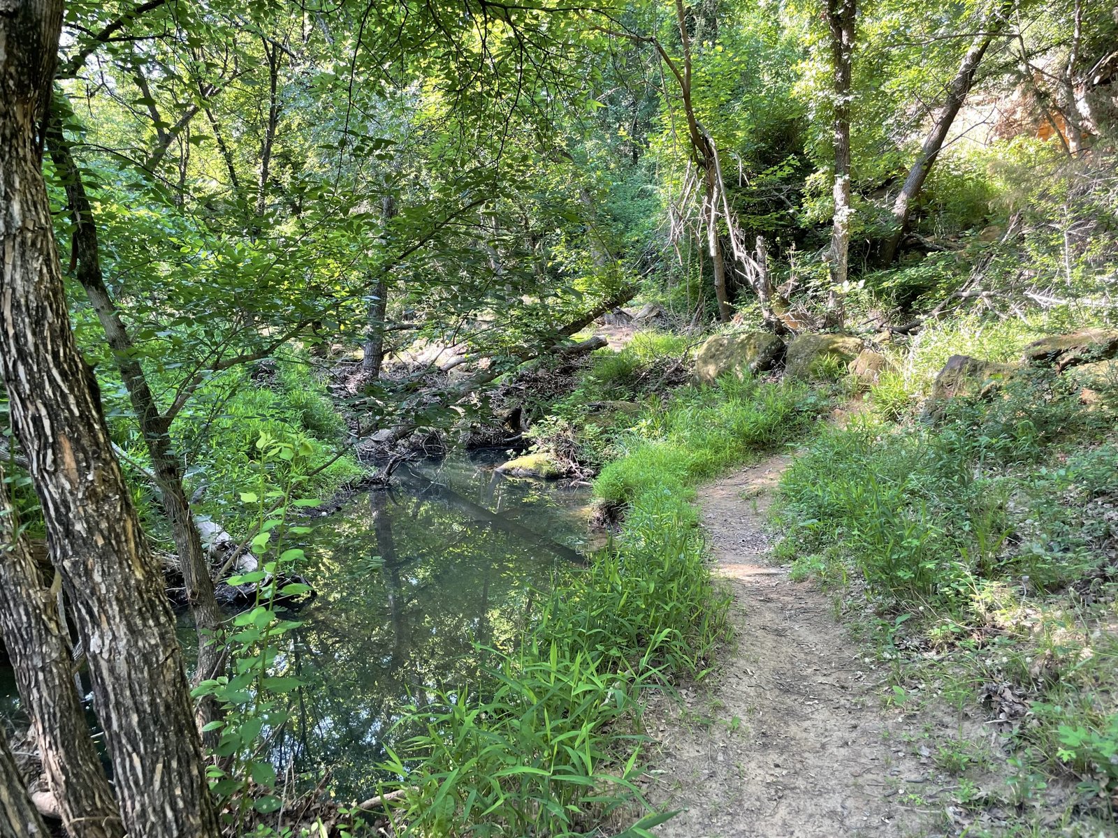 Rocky Point Trail - North Texas Trails