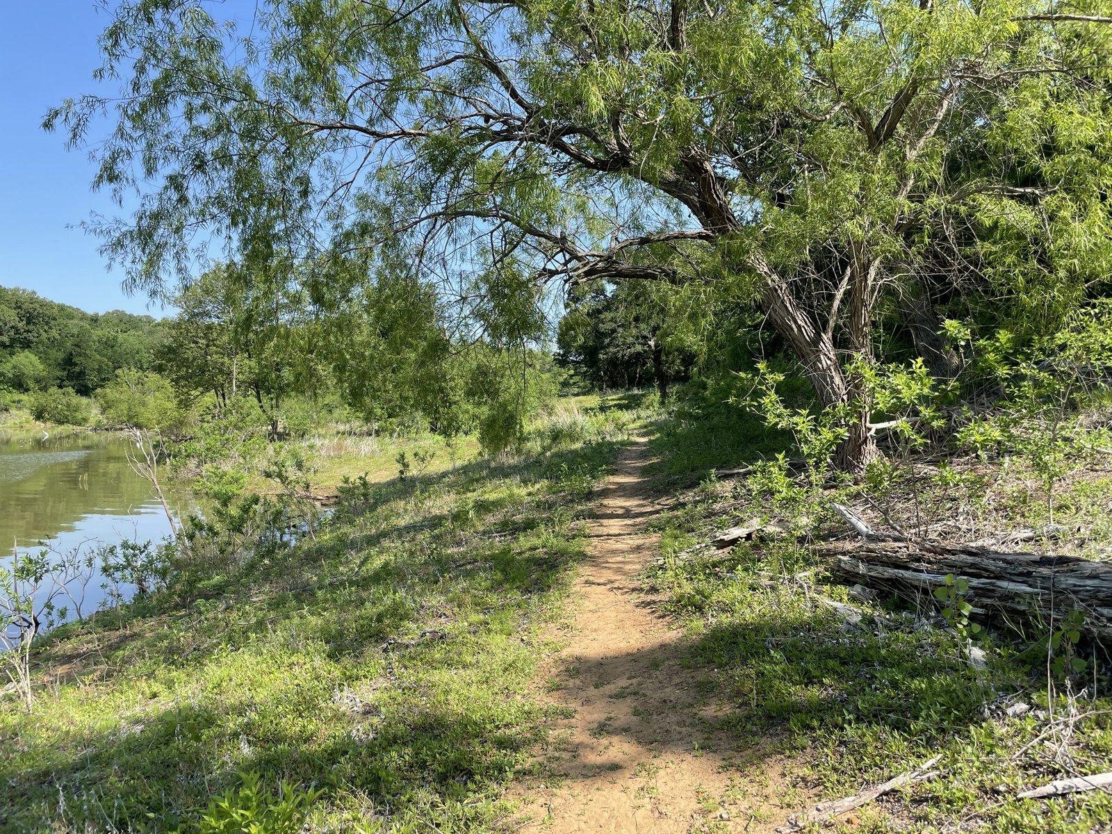 Rocky Point Trail - North Texas Trails